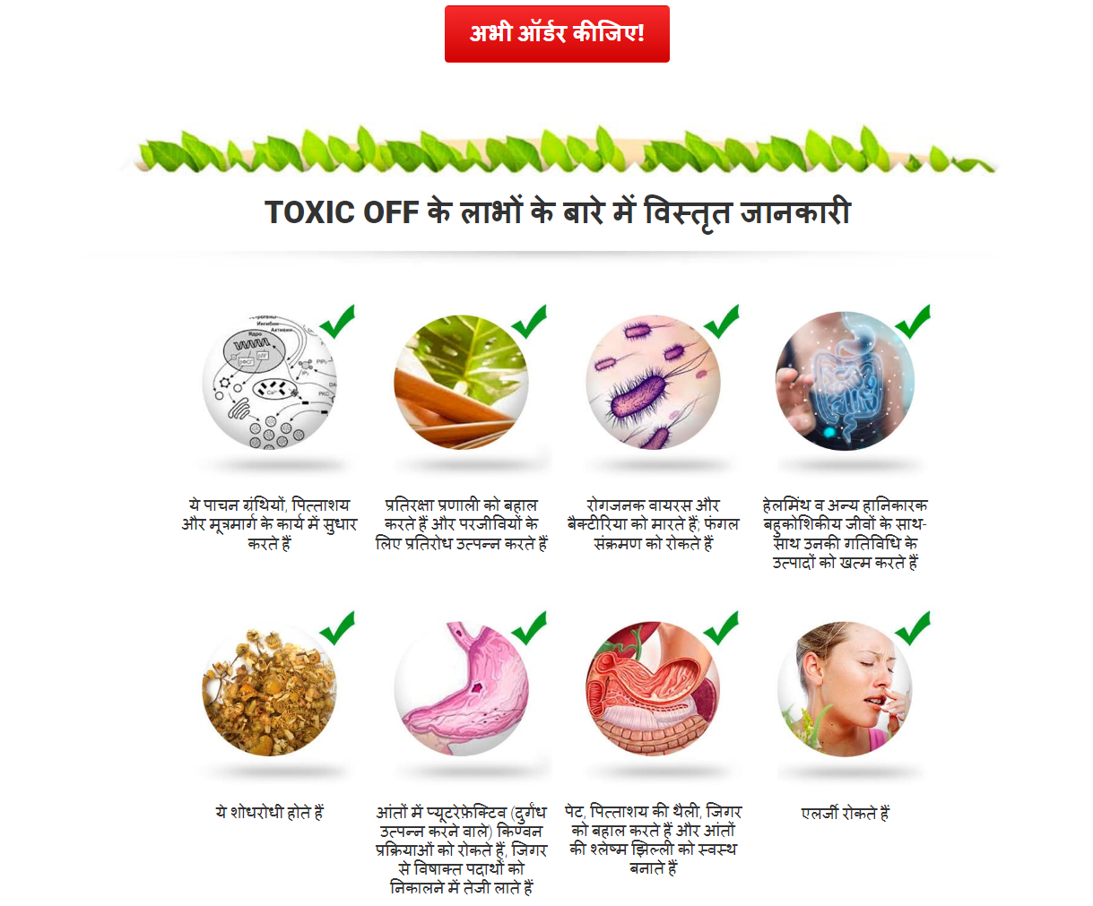 Toxic OFF : कैप्सूल, समीक्षा, लाभ, कीमत, Price, Reviews, कैसे इस्तेमाल ...